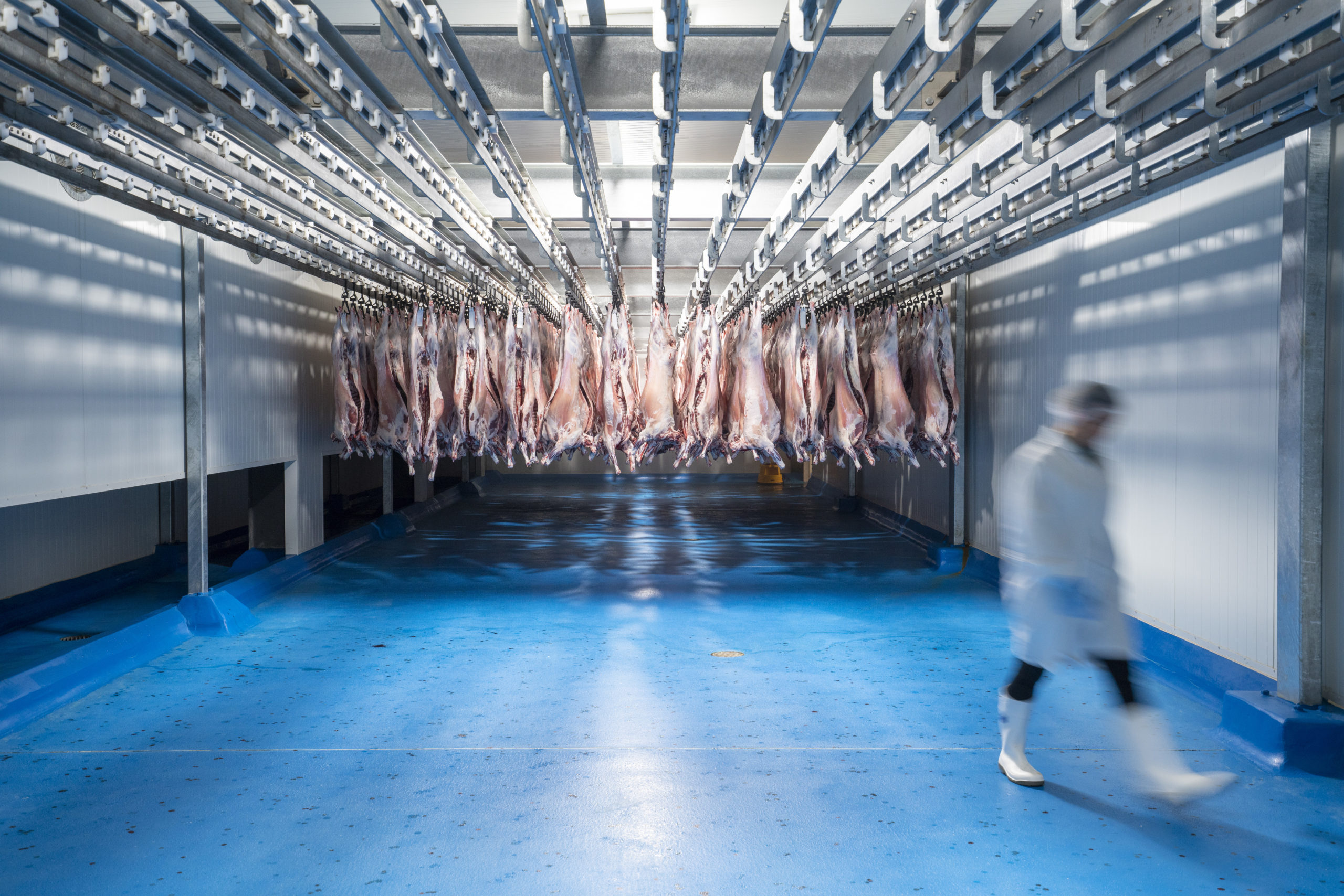 Food processing, design and construction expertise - Wiley